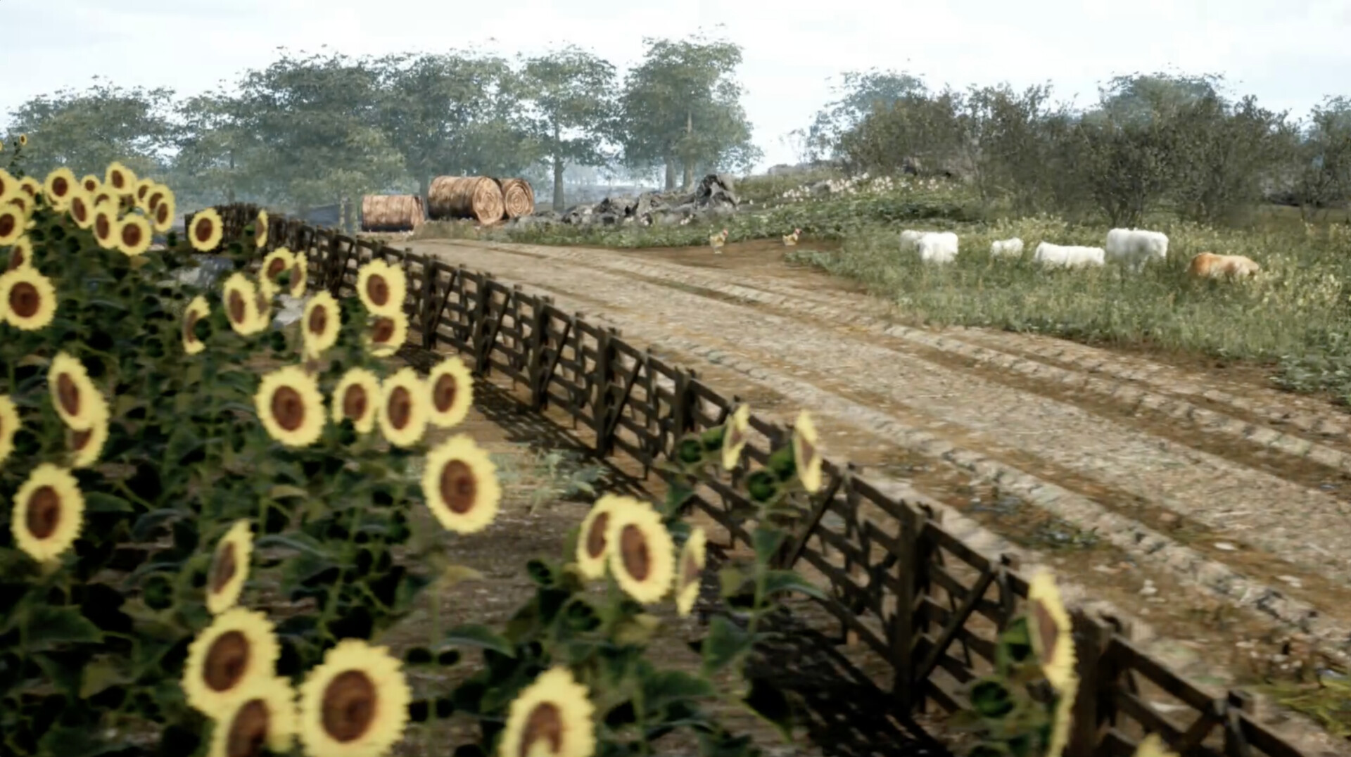 Hannah Winn - Lush Farm