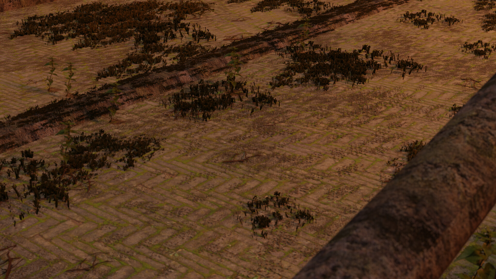 Taoe Kai - Broken Bridge