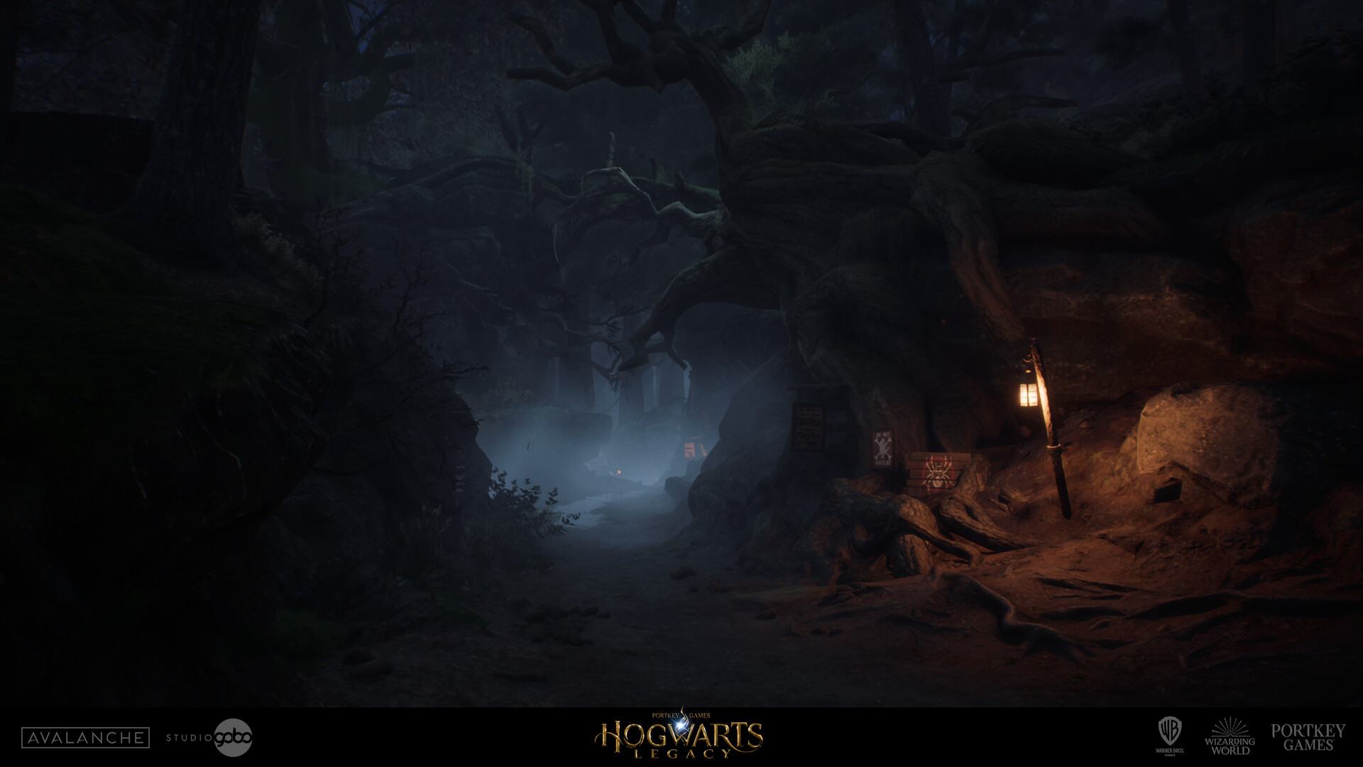 Sander Vander Meiren - Hogwarts Legacy - Forbidden Forest lighting