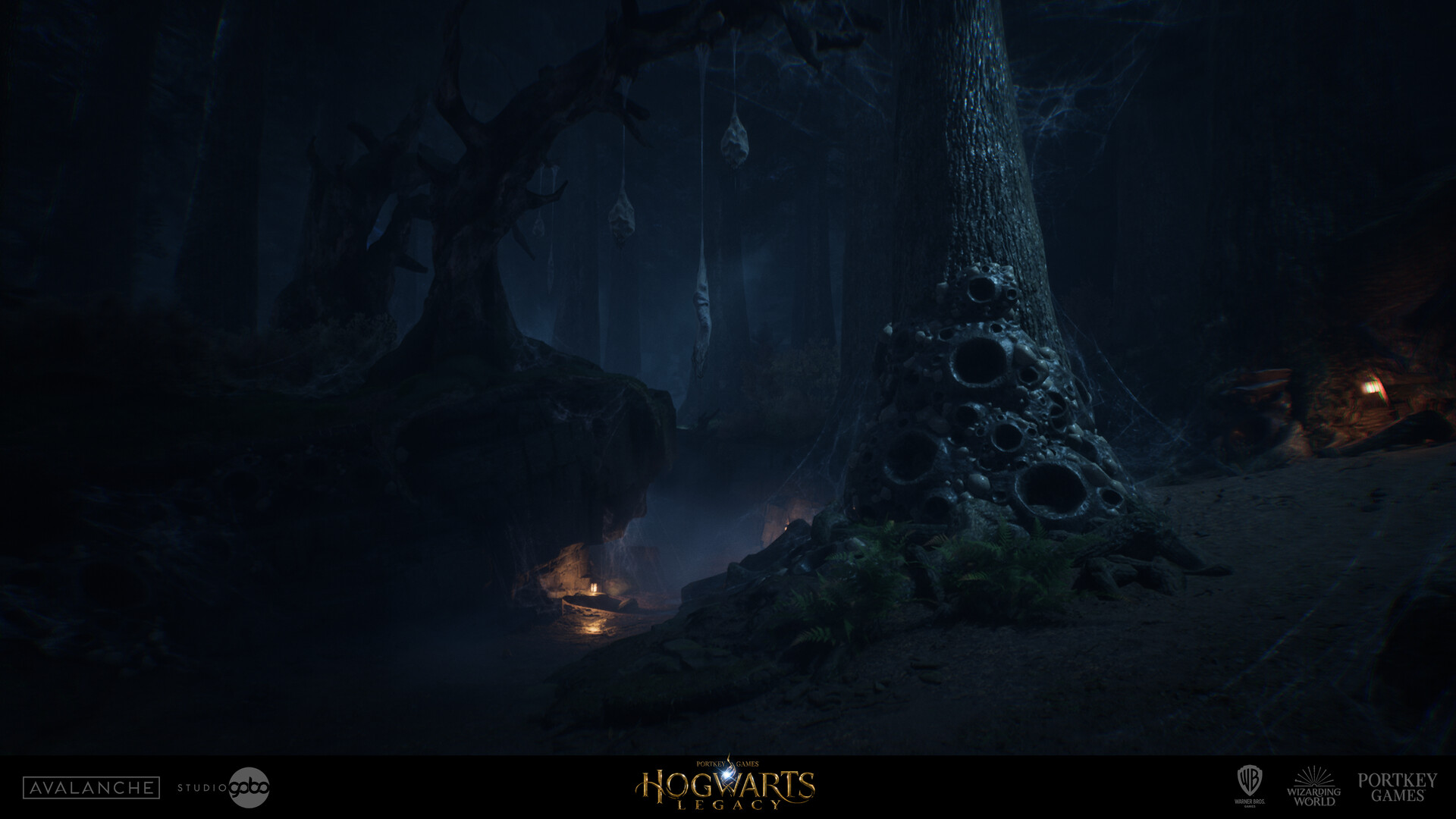 Sander Vander Meiren - Hogwarts Legacy - Forbidden Forest lighting