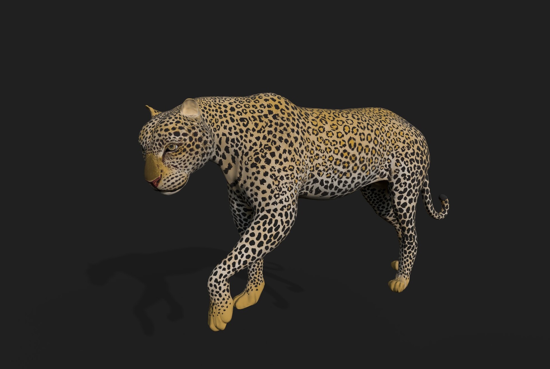 ArtStation - leopard wip
