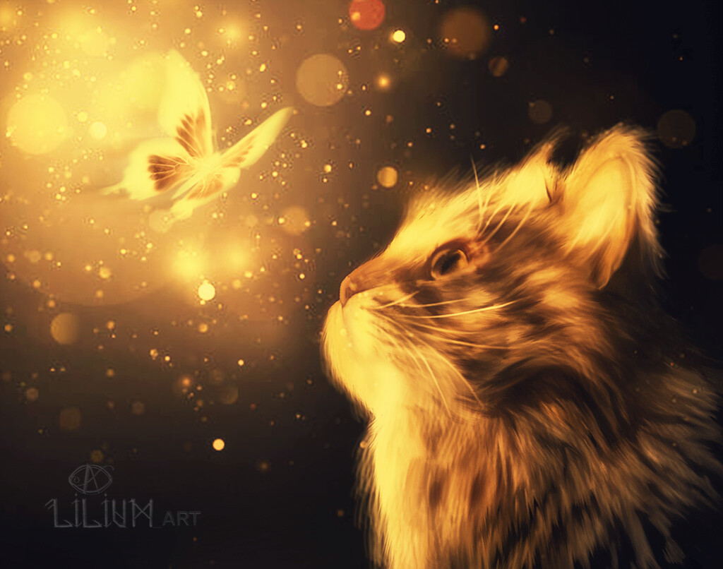 ArtStation - cat magic