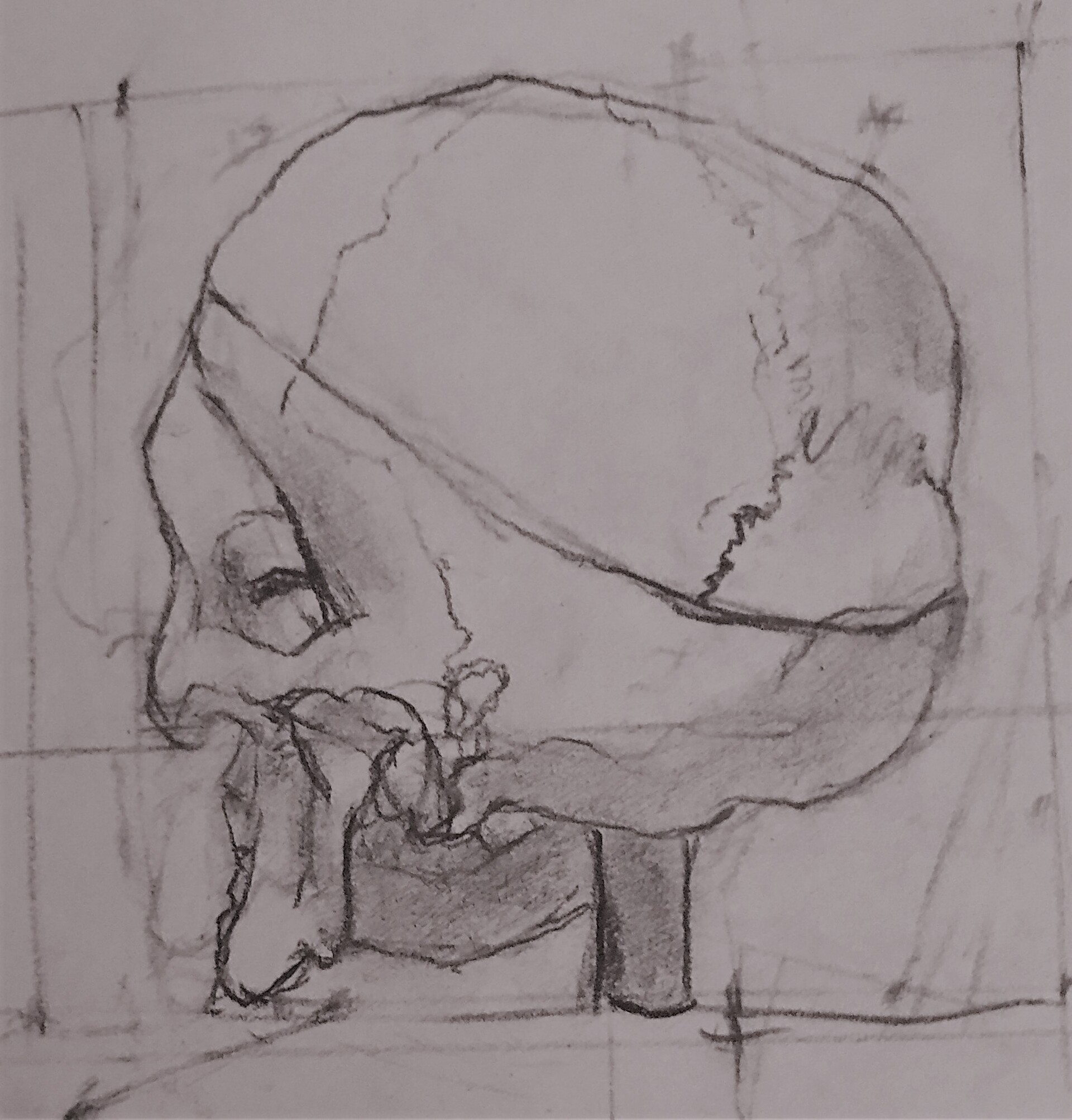 ArtStation - Traditional Skeleton figure Drawing