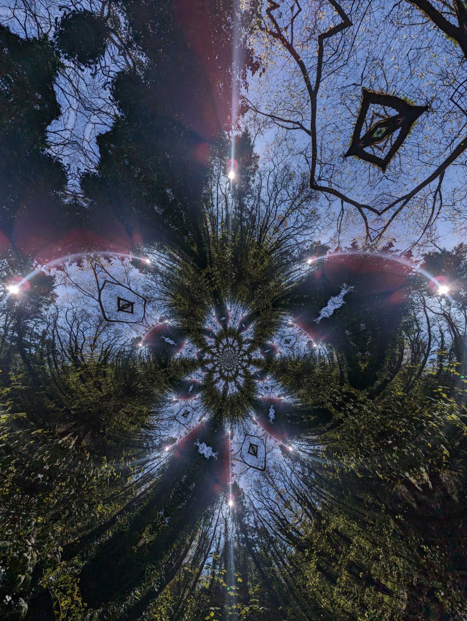 ArtStation - fractal art