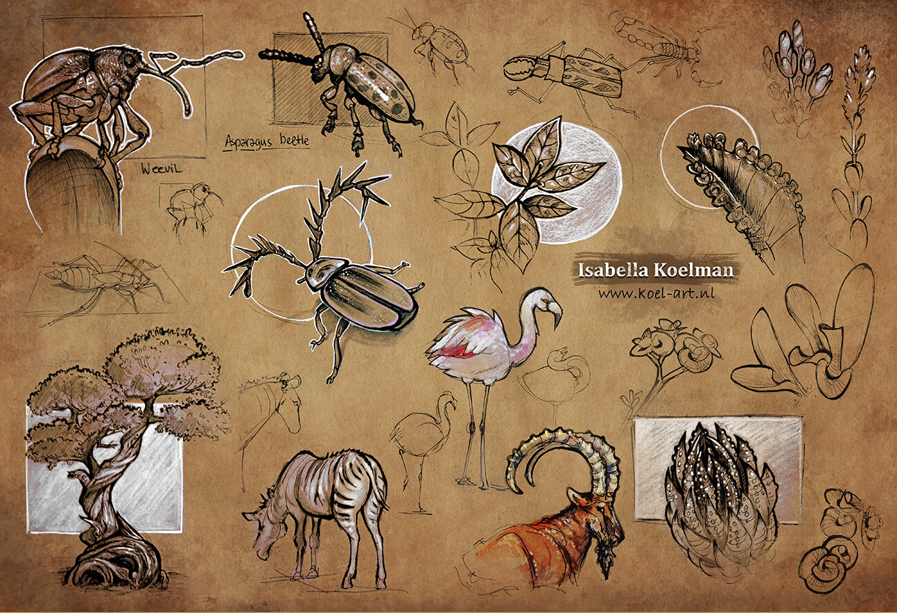 ArtStation - VisCom work