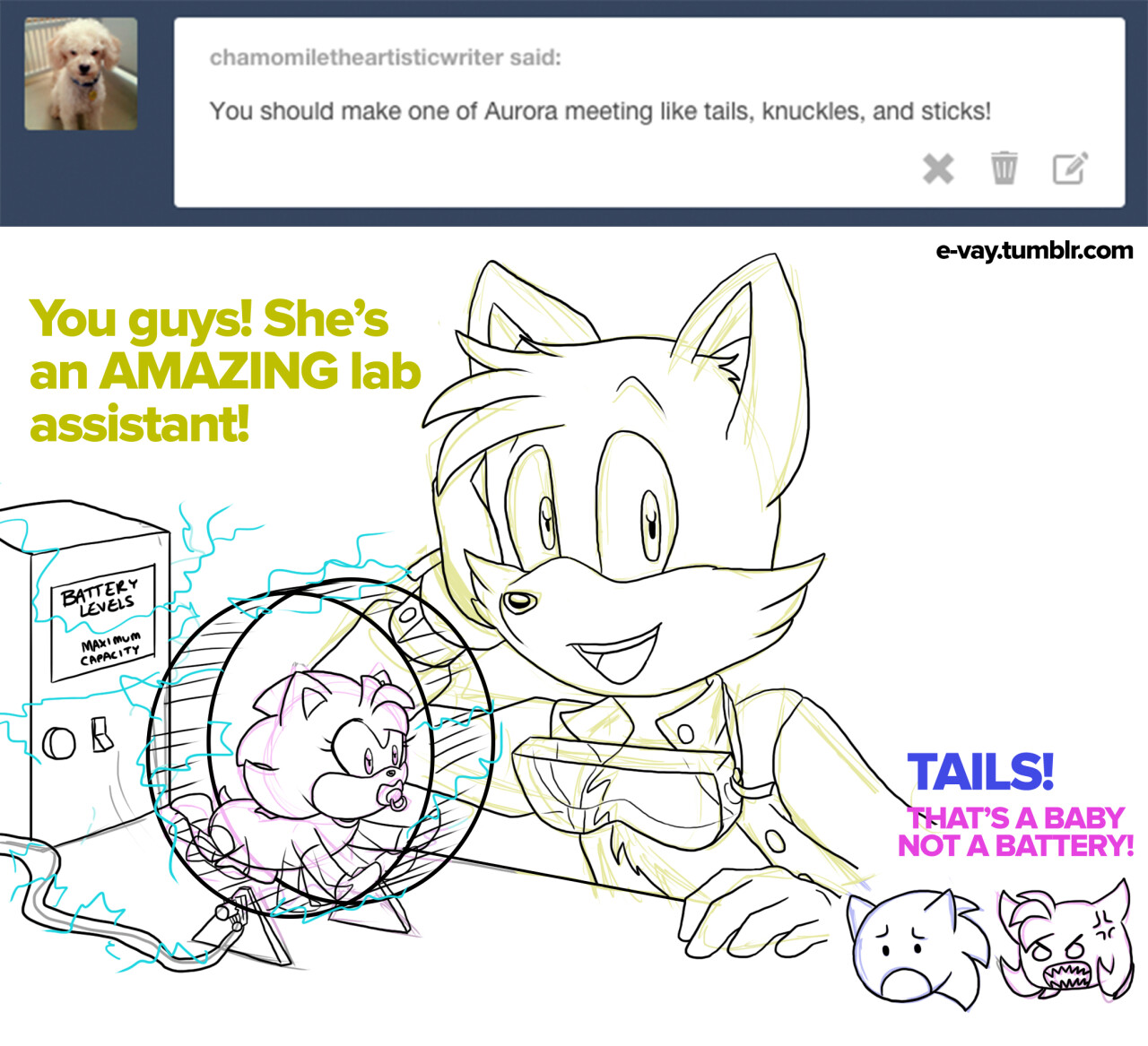 sonic shadow x aurora