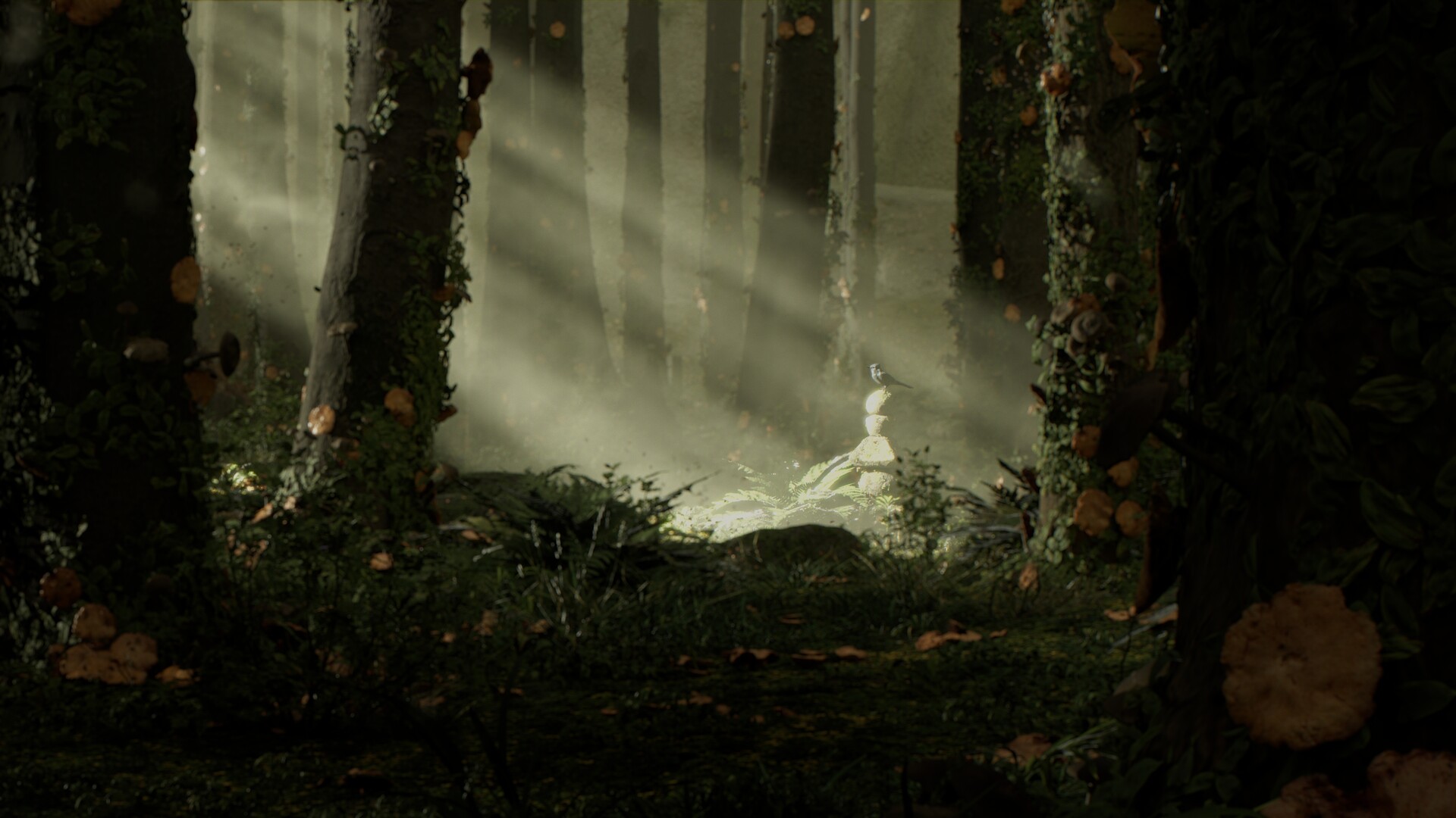 ArtStation - Bird forest