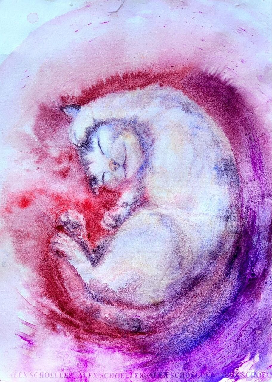 ArtStation - Oversaturated cat