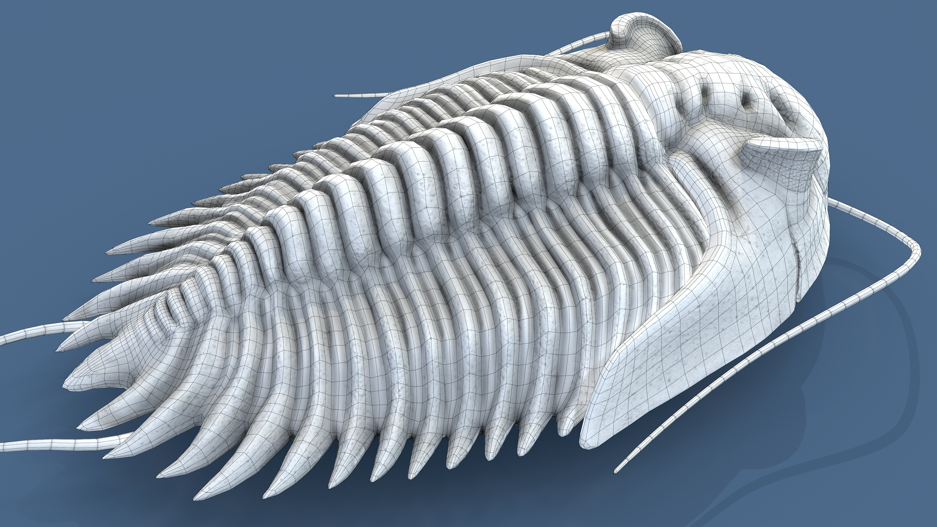 Omar-Kamel - Greenops Trilobite