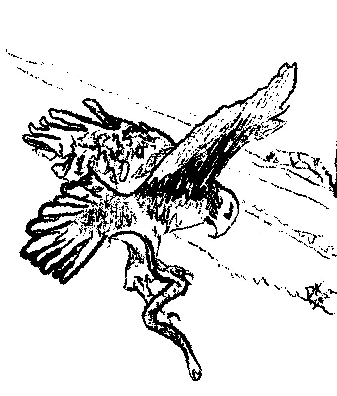 ArtStation - Hawk with snake