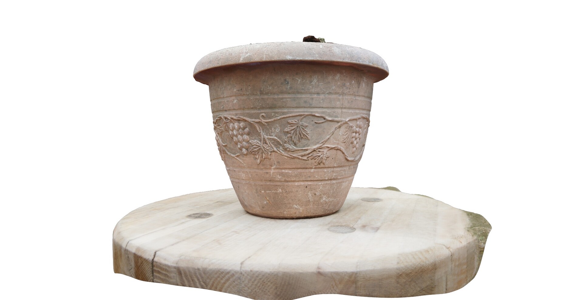 ArtStation - Photogrammetry Flower Pot