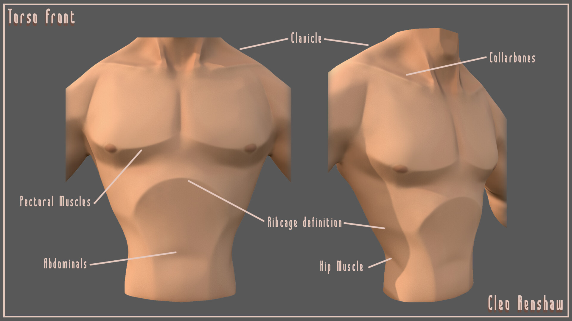 B. Cleo Renshaw - Stylised Male Torso Study