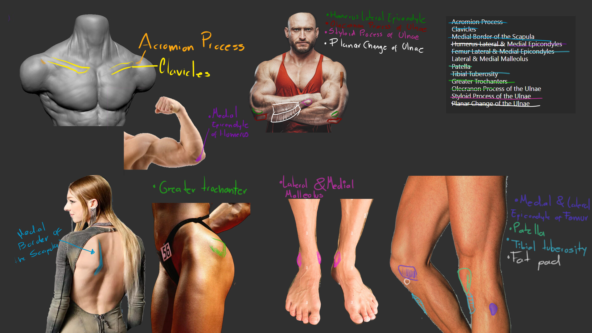 ArtStation - Upper body study