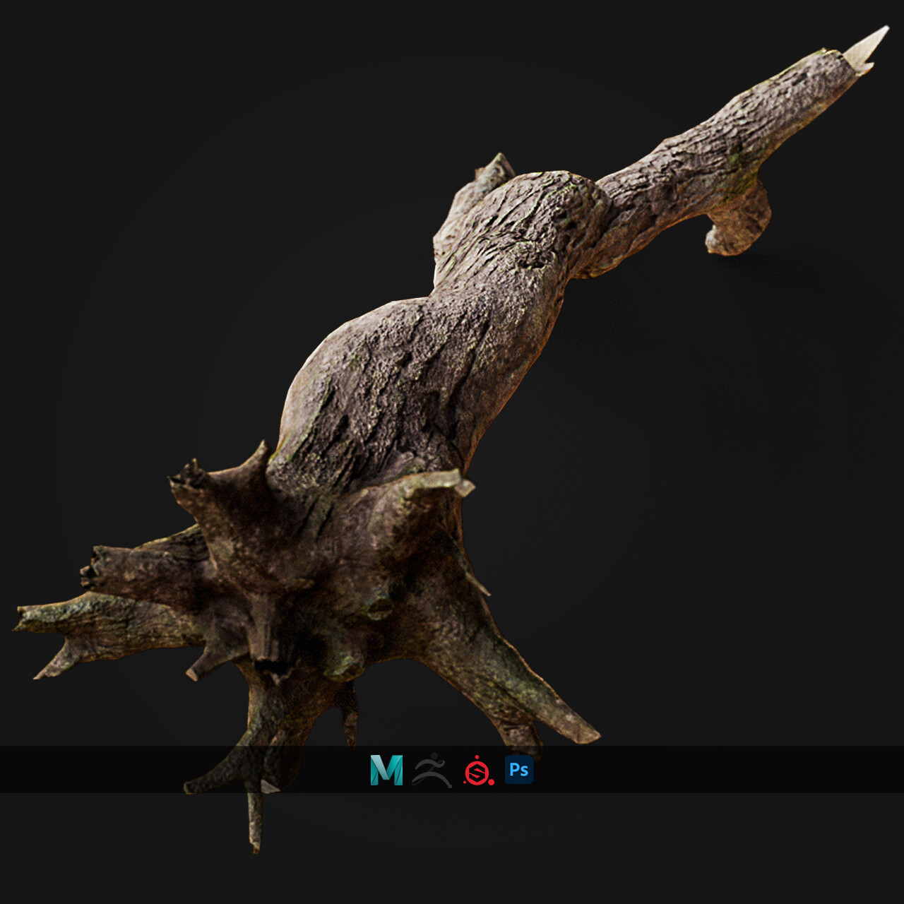 Ayaan S - Uprooted Tree - Game Asset Breakdown