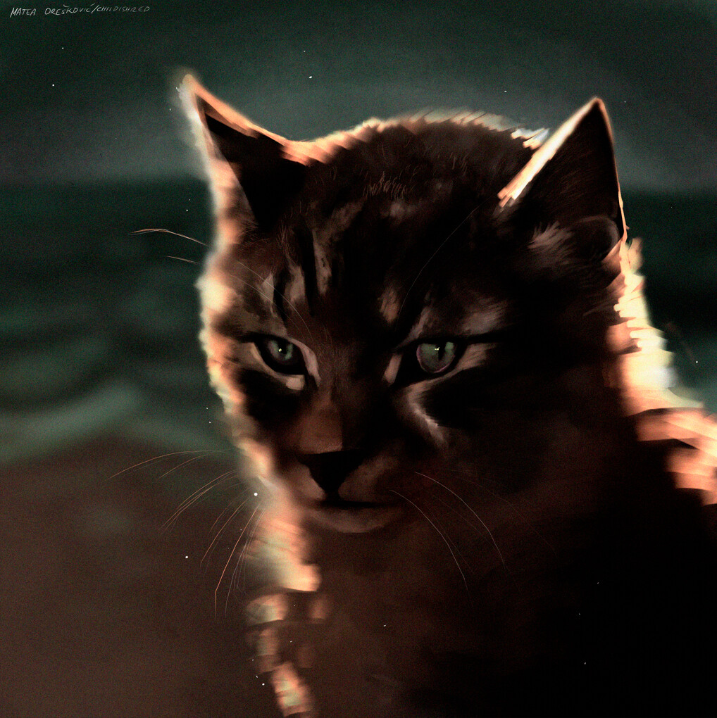 ArtStation - Cat no.4