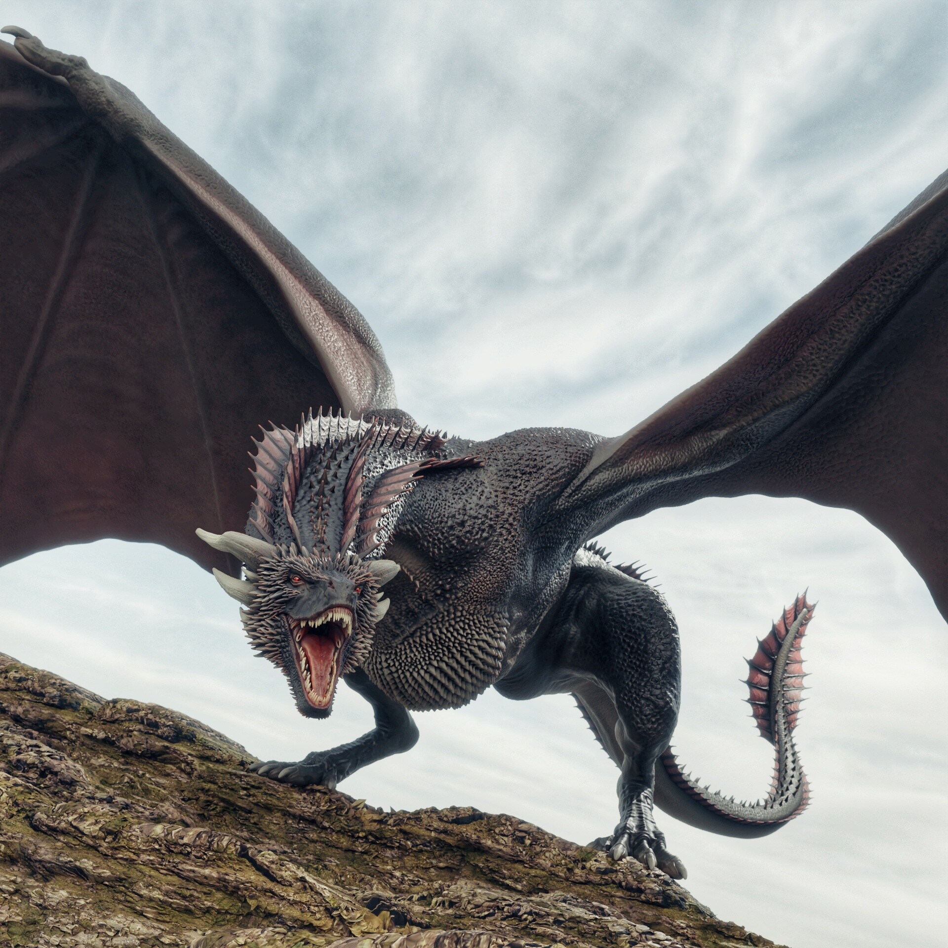 Drogon Game Of Thrones