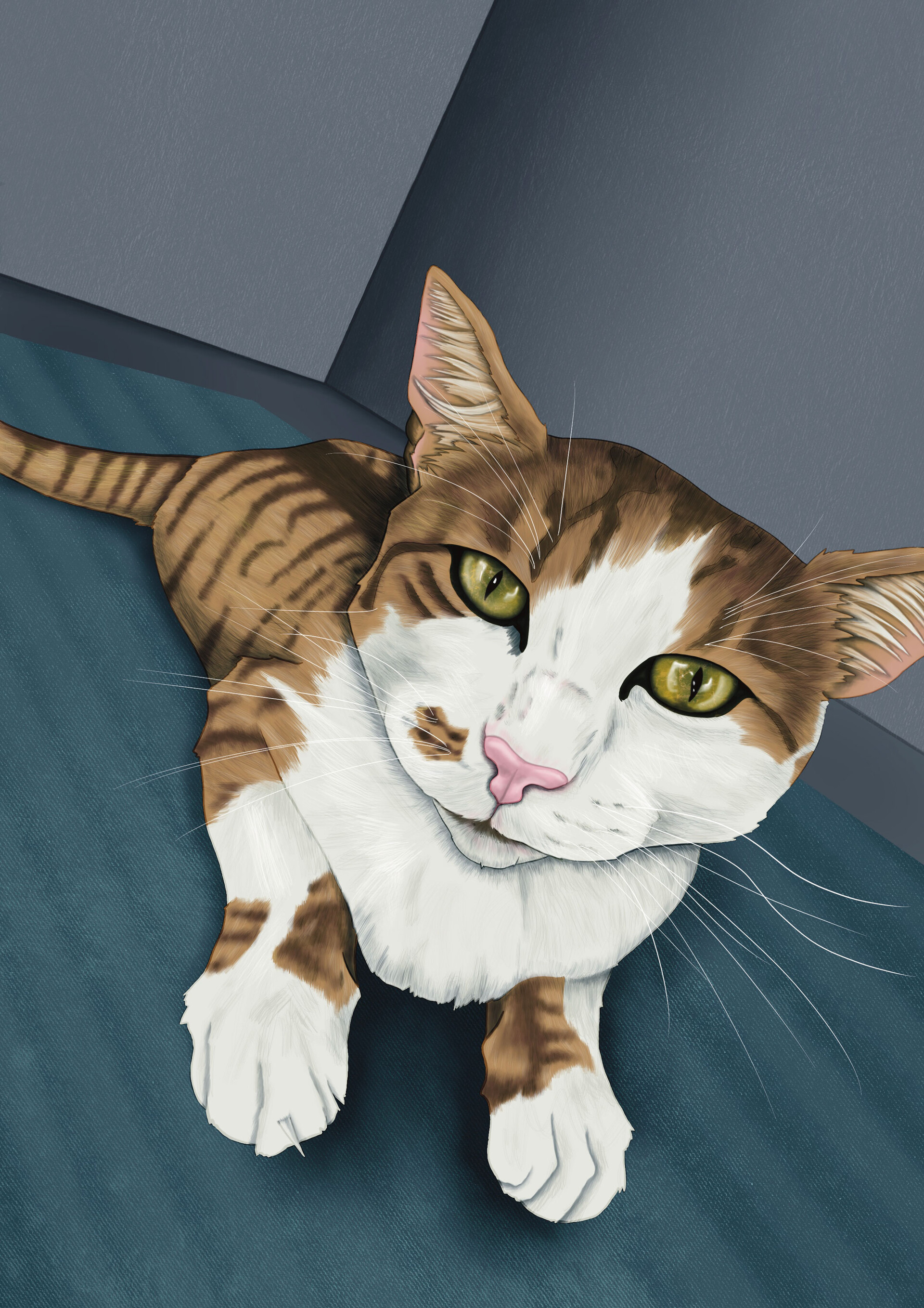 Nadine Hunziker - PET PORTRAITS – DIGITAL