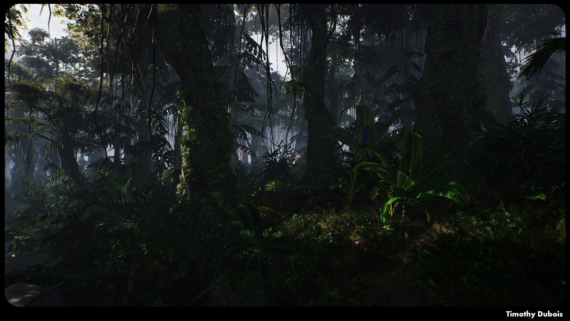 Timothy Dubois - Jungle River - UE4