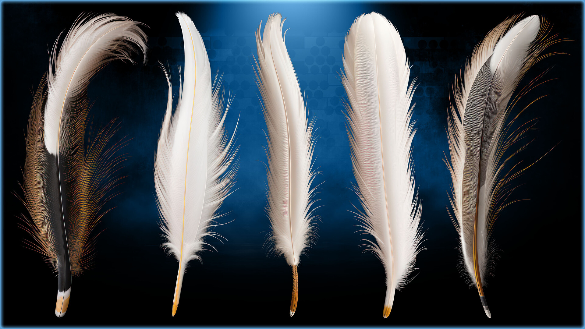 T - World - 50 Realistic Feather - PBR Textures (MEGA Bundle) - Vol 4