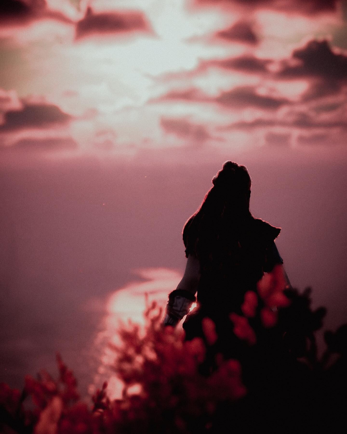 L RMN - Horizon Forbidden West