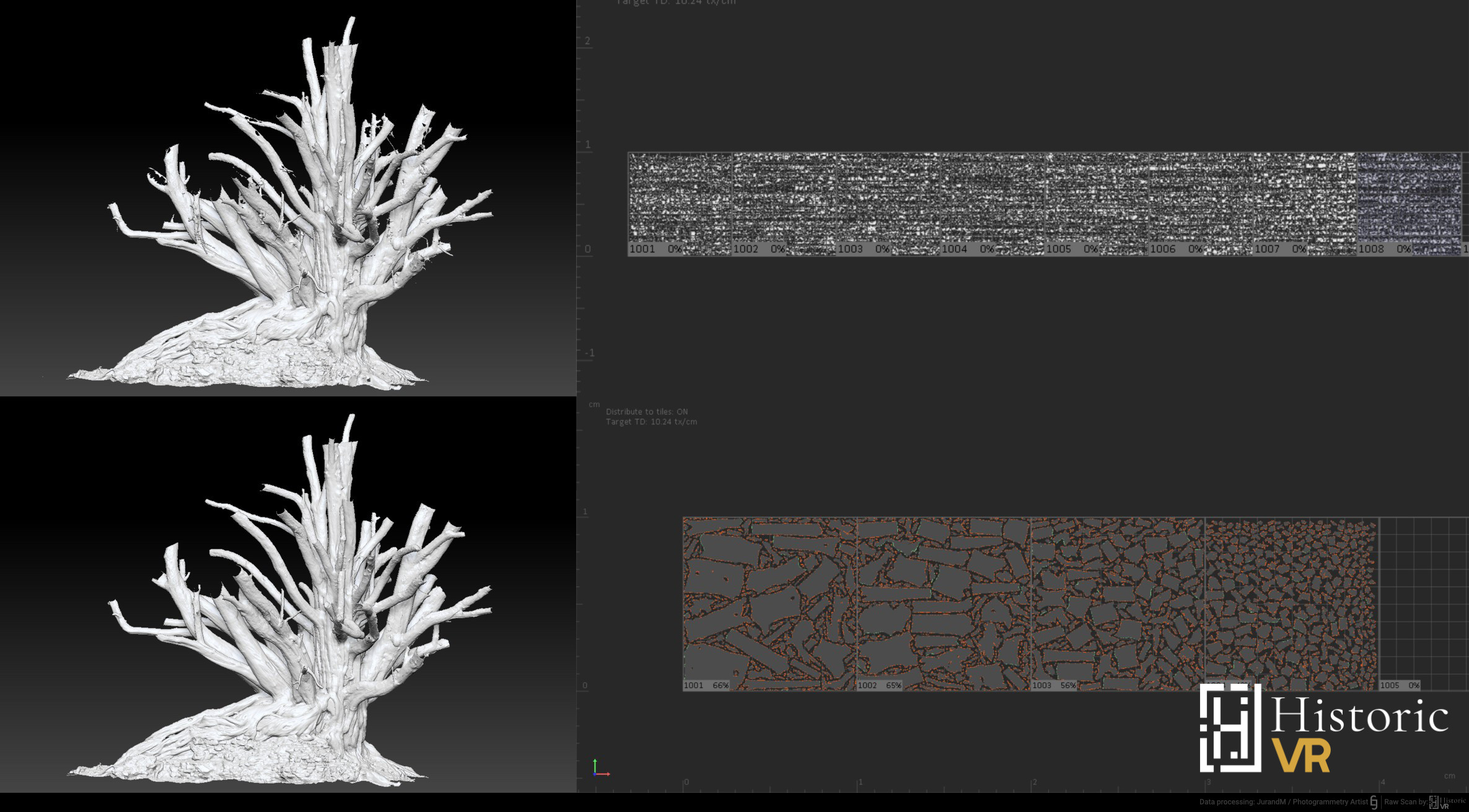 Jurand Macioszczyk Photogrammetry Portfolio - Waverley Abbey - Yew Tree - HistoricVR ...