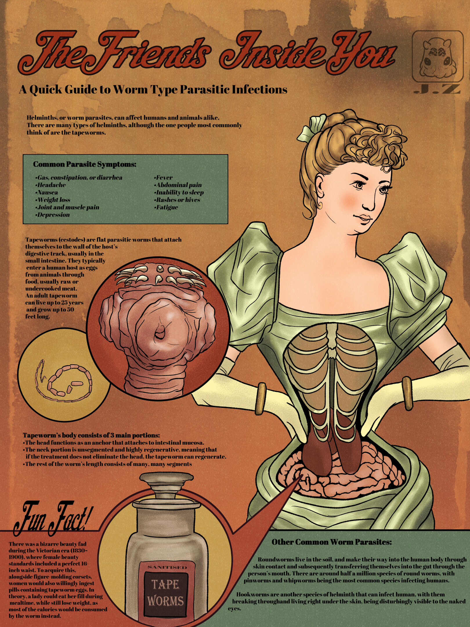 tapeworm illustration