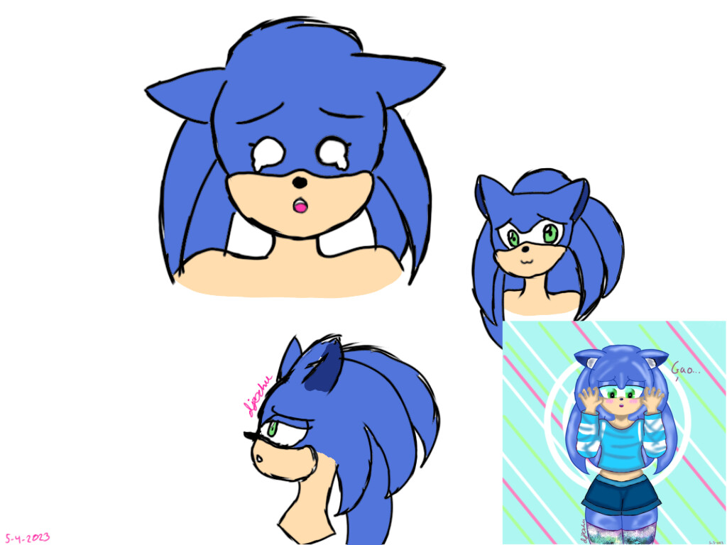 Sonic Female Base