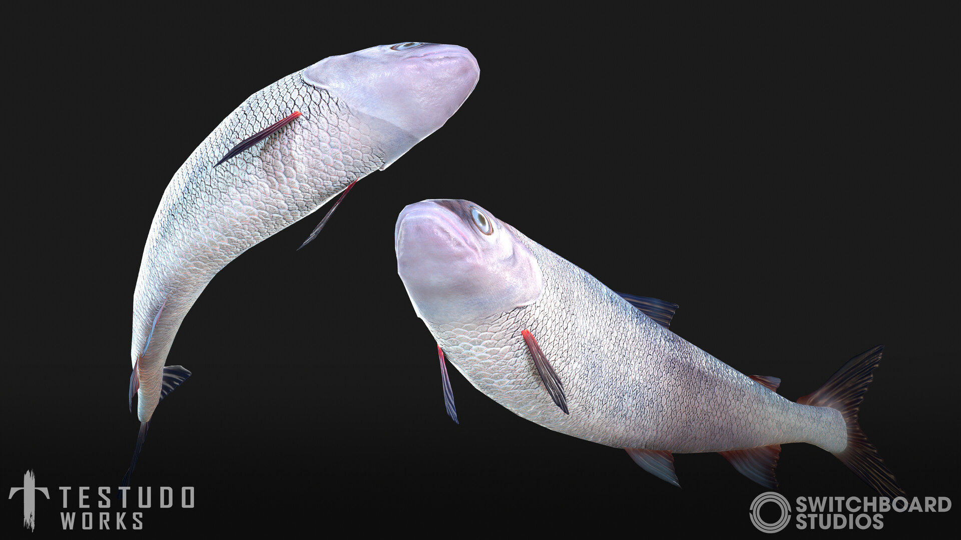 Lim Eric Harianto - White Fish - FreshWaterFish Pack