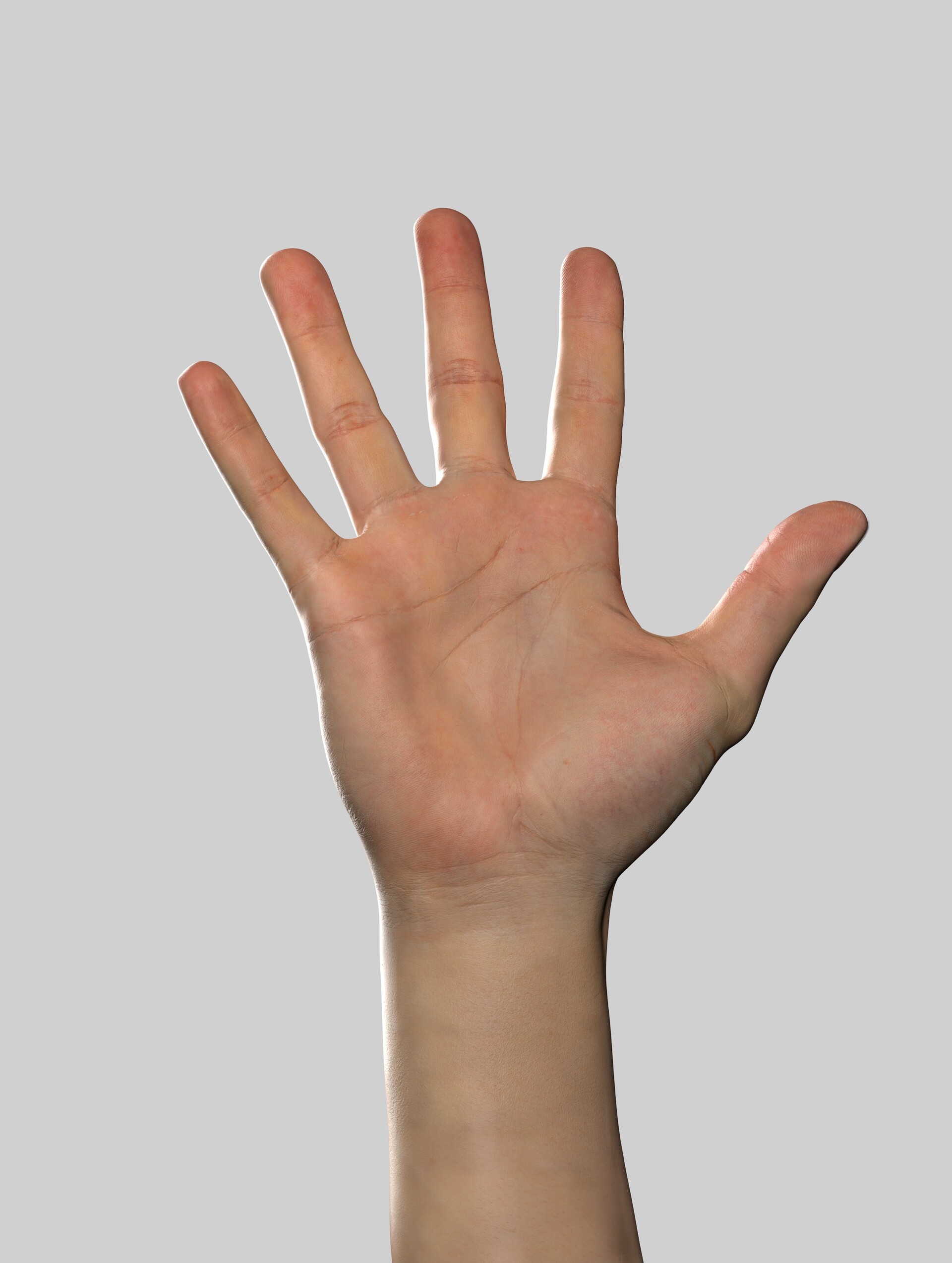 ArtStation - Realistic Hand (my hand)