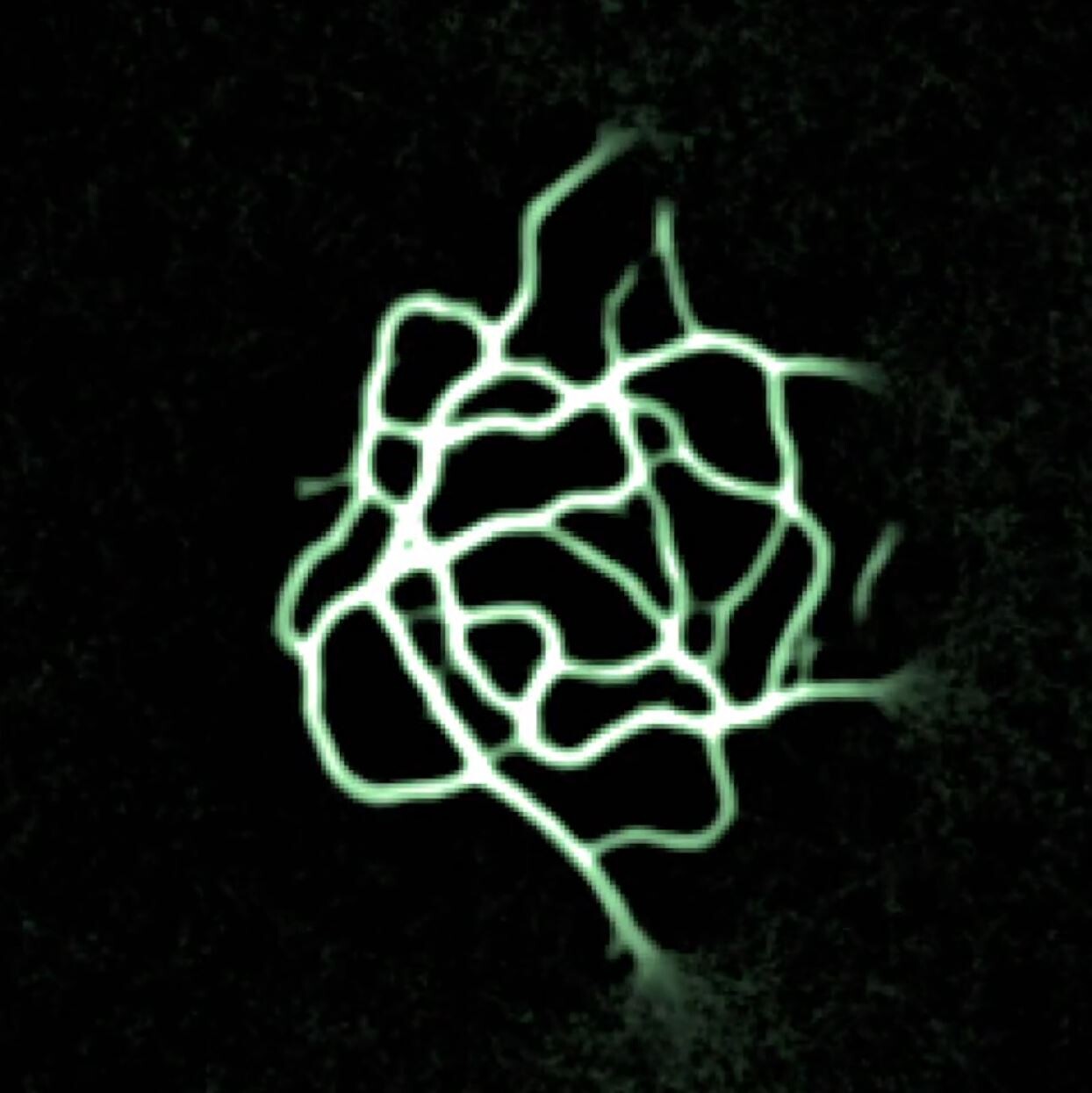 ArtStation - Simulation Nodes Physarum (2023)