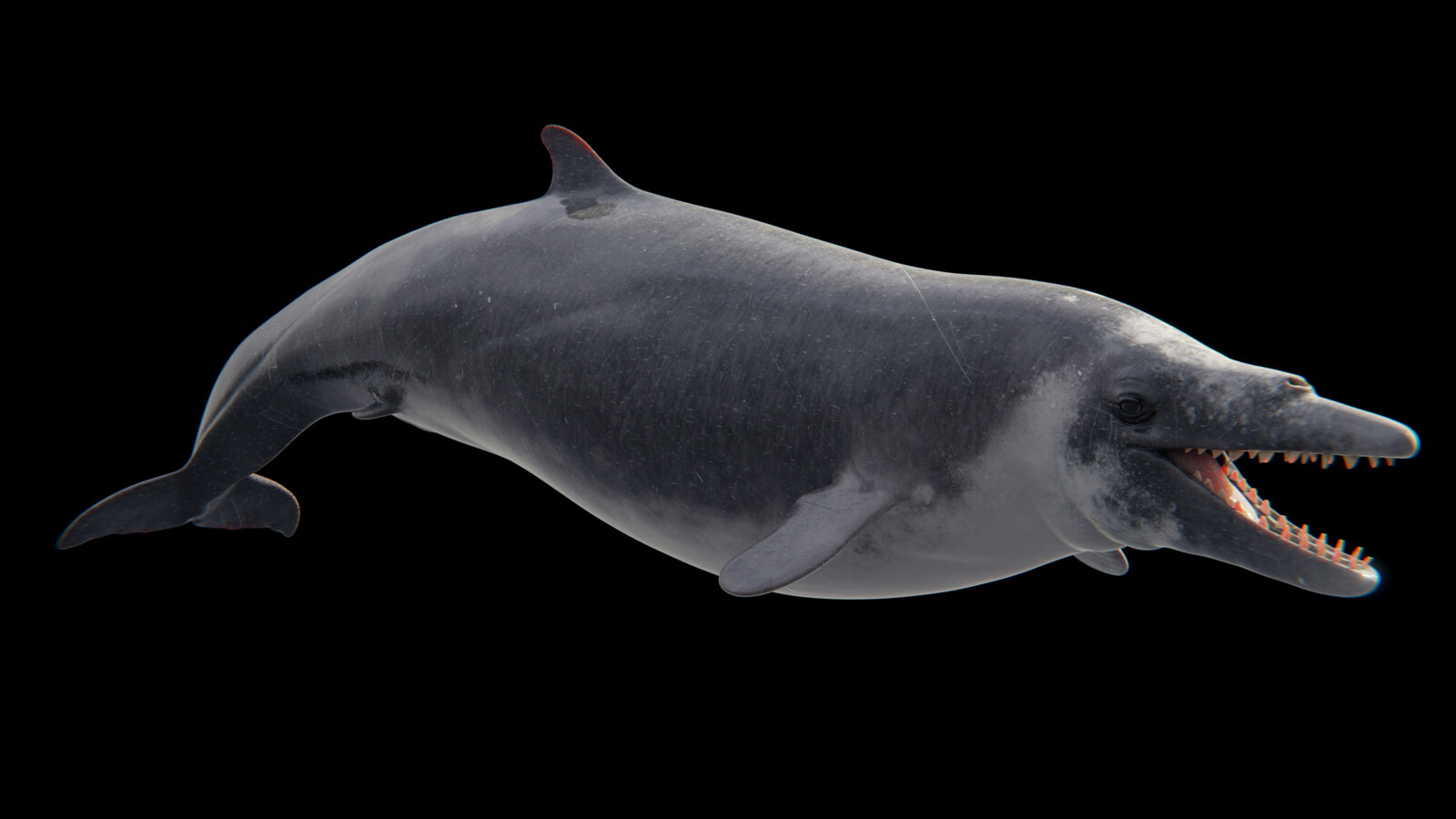 Lucas Mateus - Dorudon