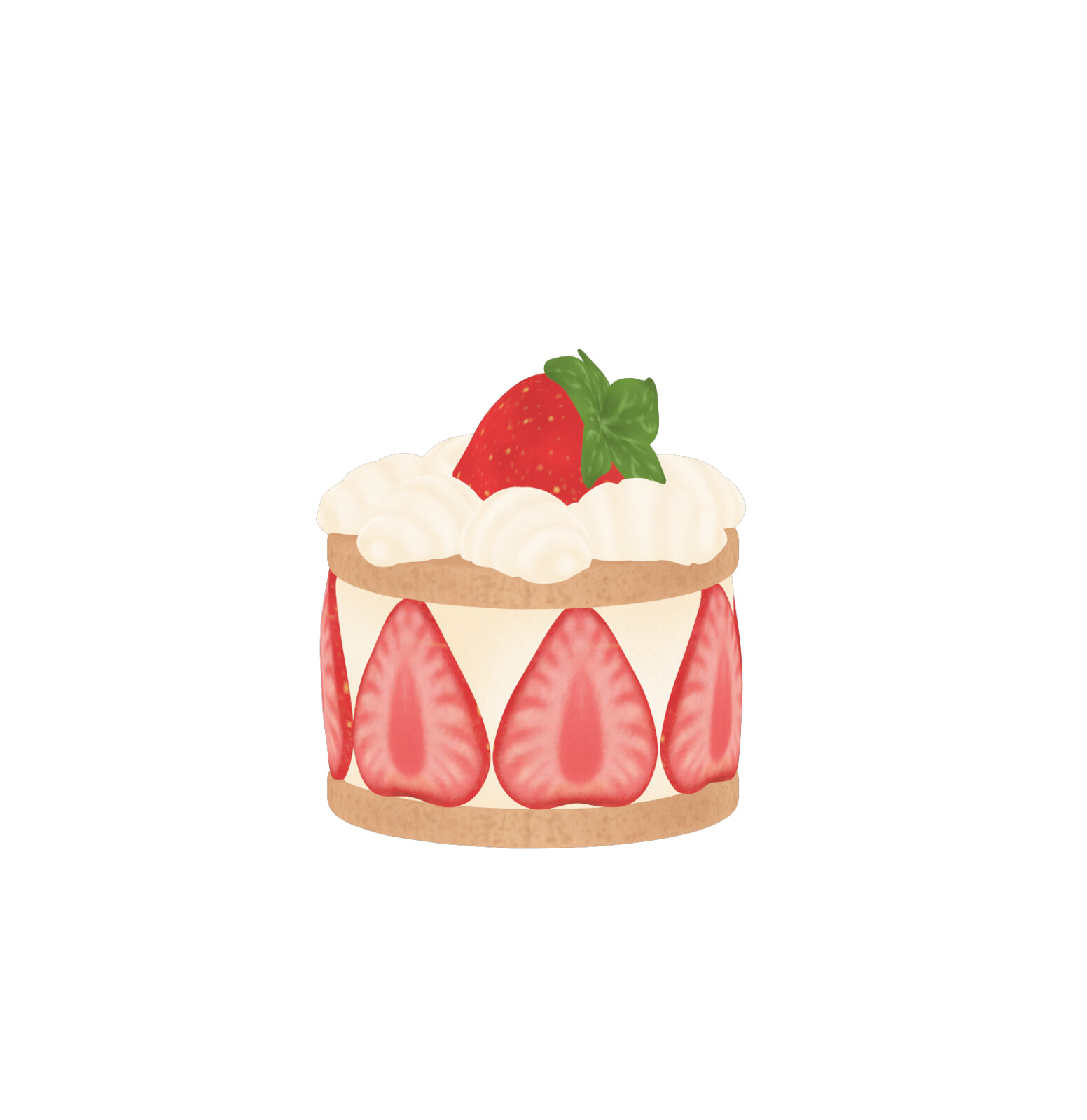 Cassidy Overmann - Portfolio