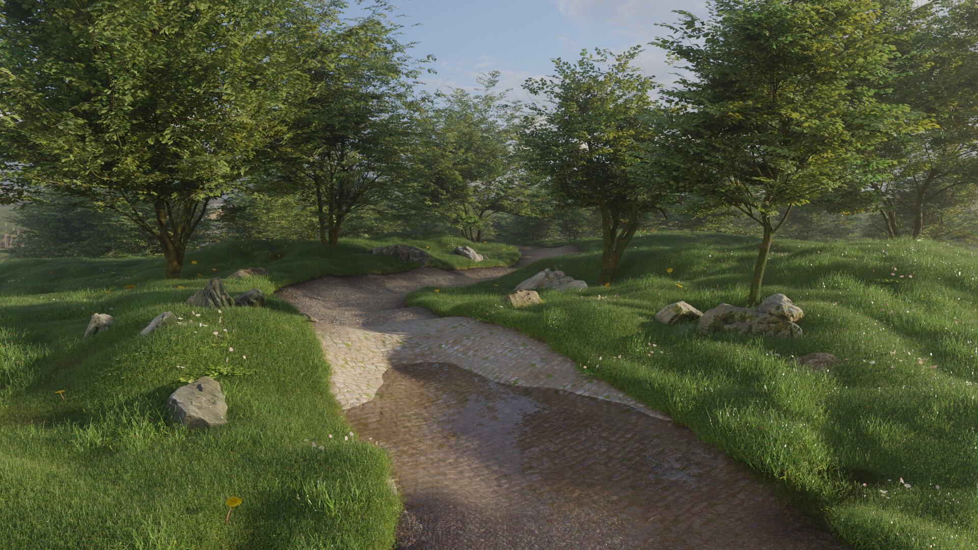 Forest Path Texture