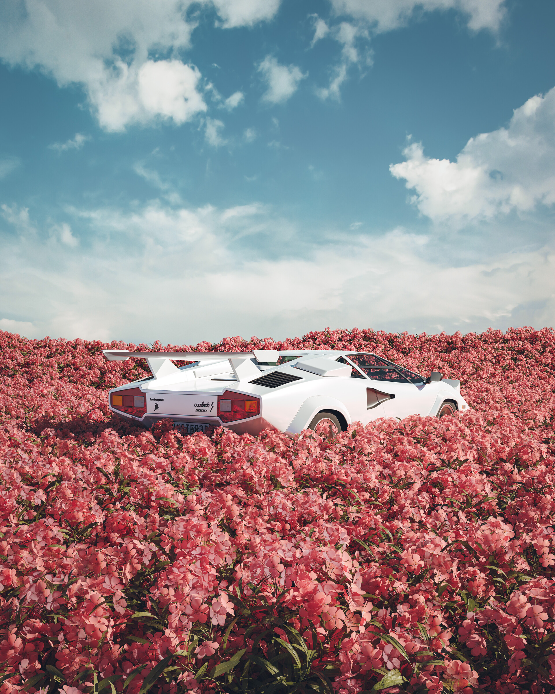 Srabon Arafat - Cars