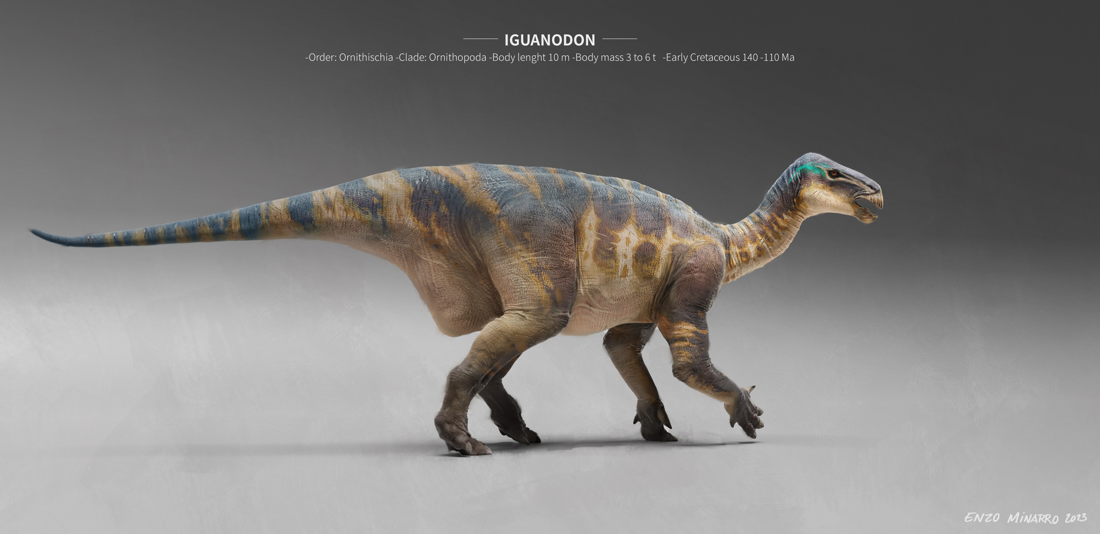 Enzo Minarro - Iguanodon design