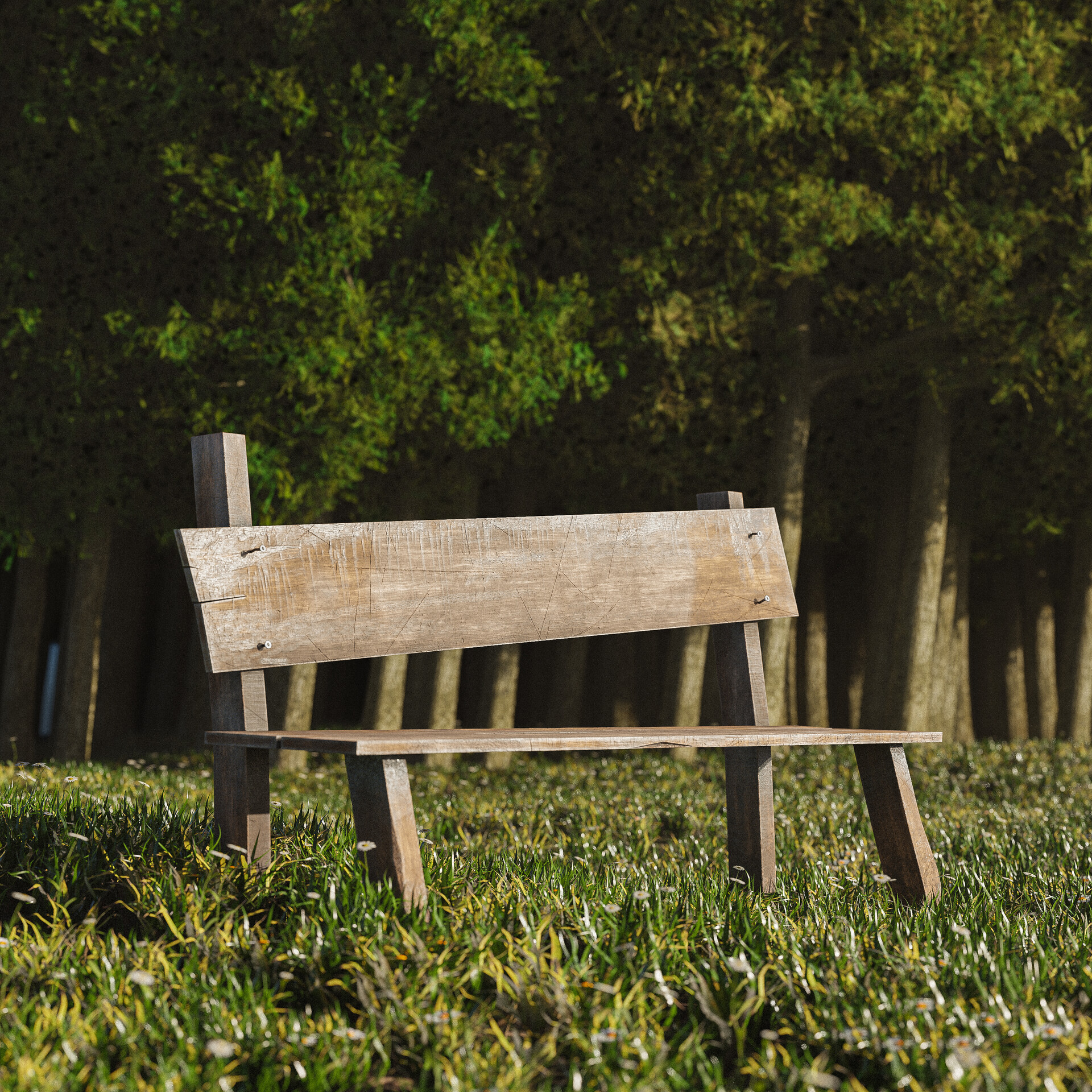 Vintage Bench Background Nature
