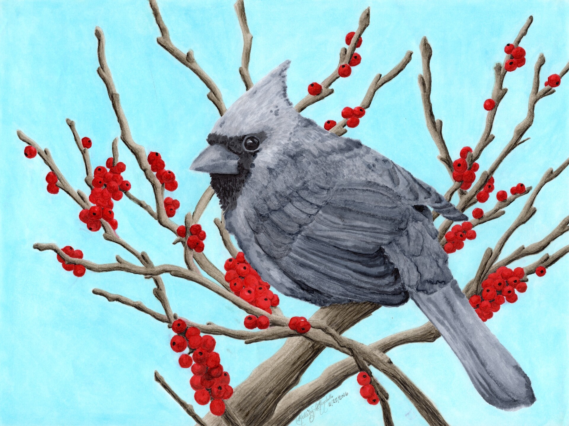 ArtStation - Winter Cardinal