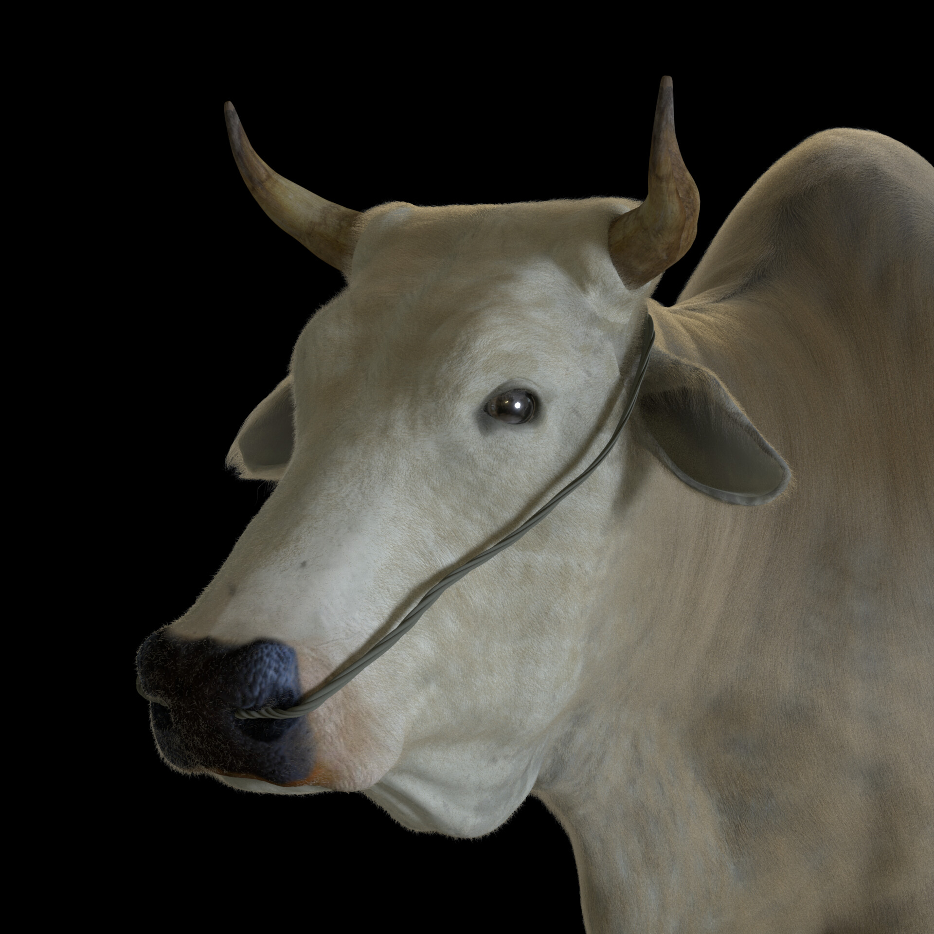 ArtStation - Cow