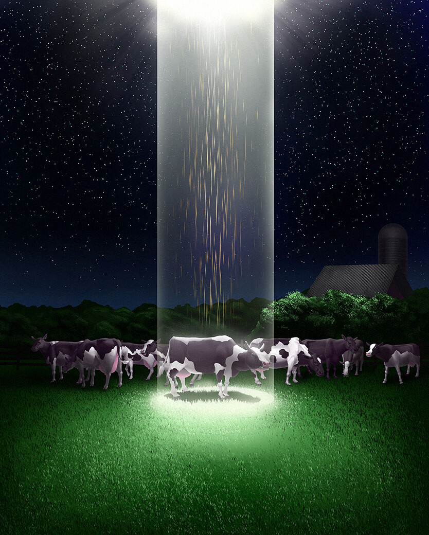 ArtStation - All Cows Go To Heaven