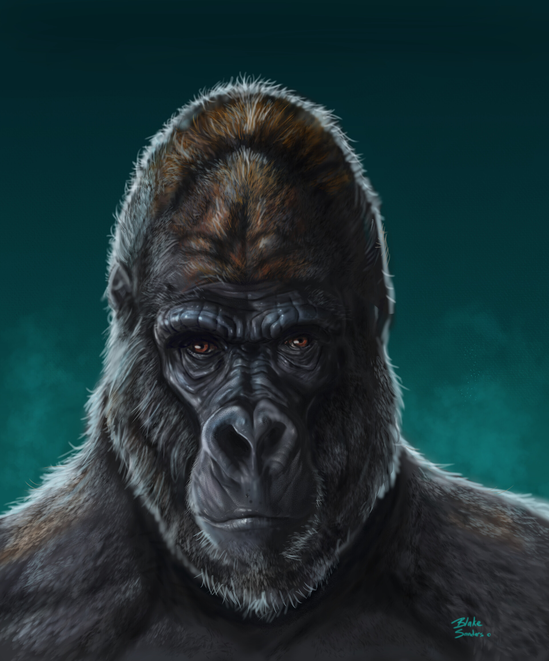 ArtStation - Gorilla digital painting over a 3d model I made in Blender.