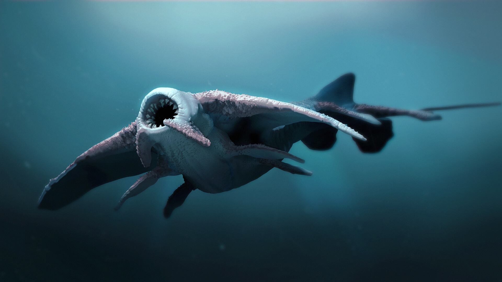 ArtStation - Whale concept