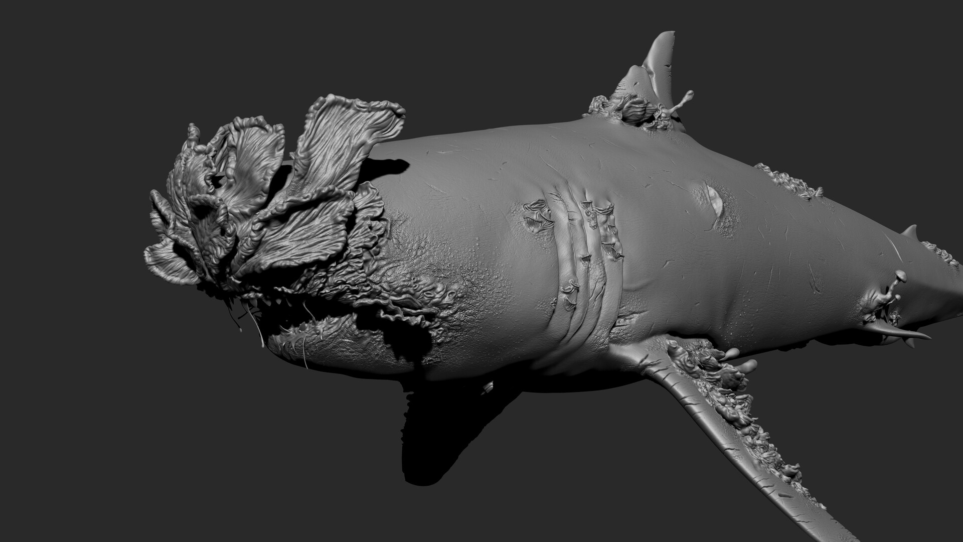 ArtStation - Infected Shark