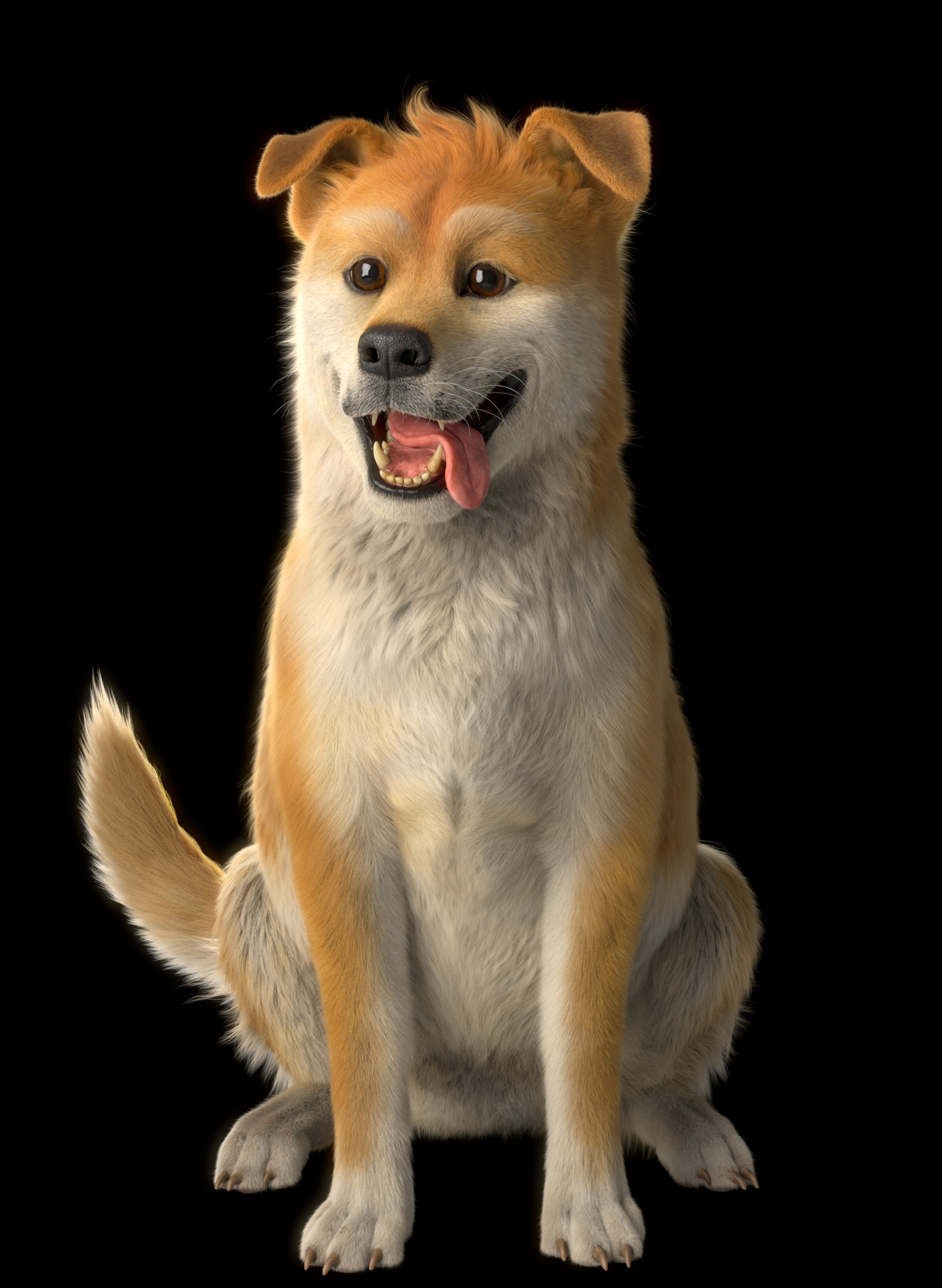 Doge Render