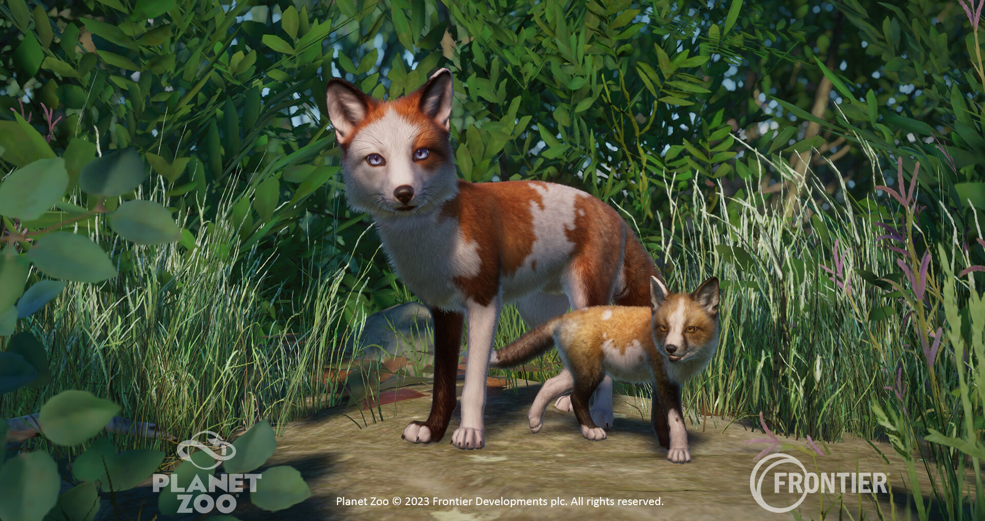 piebald fox