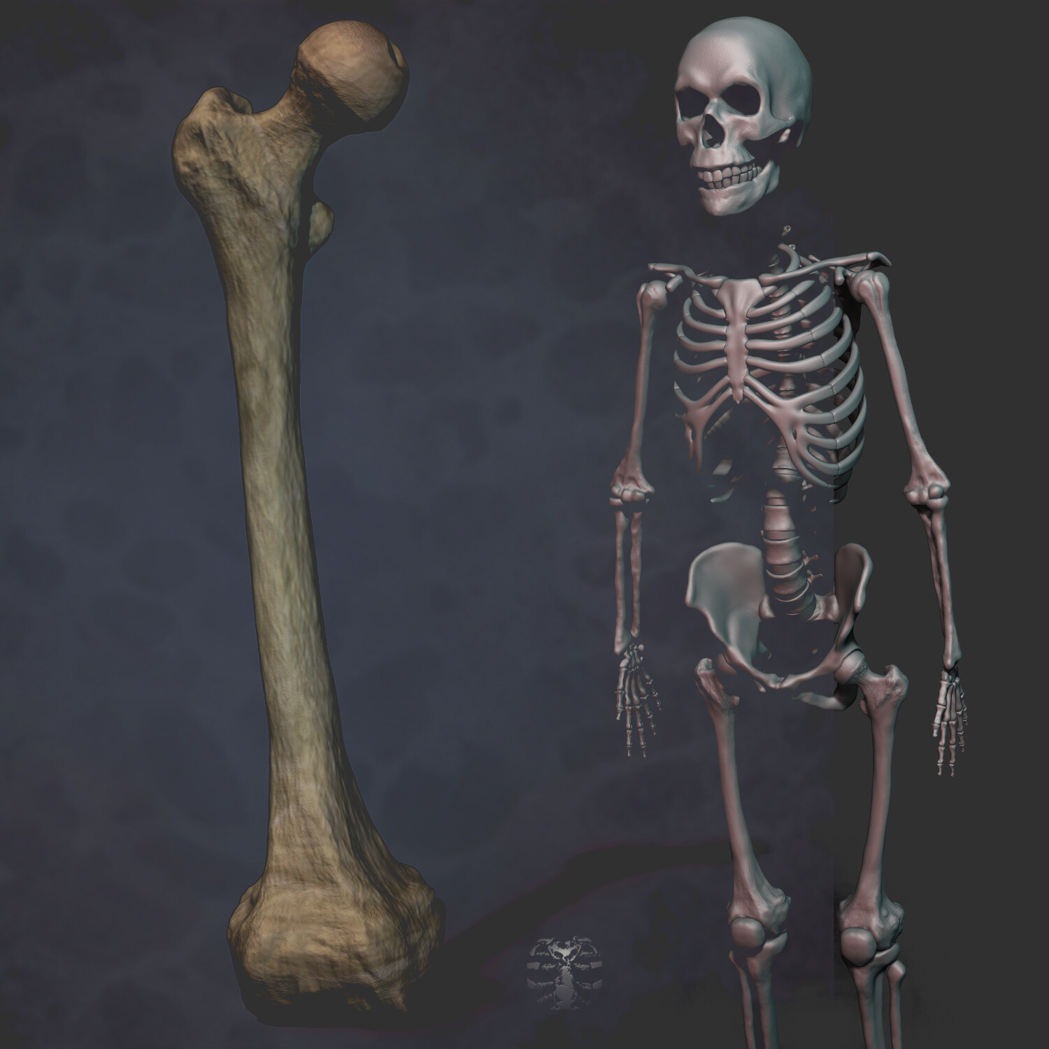 ArtStation - Human bones
