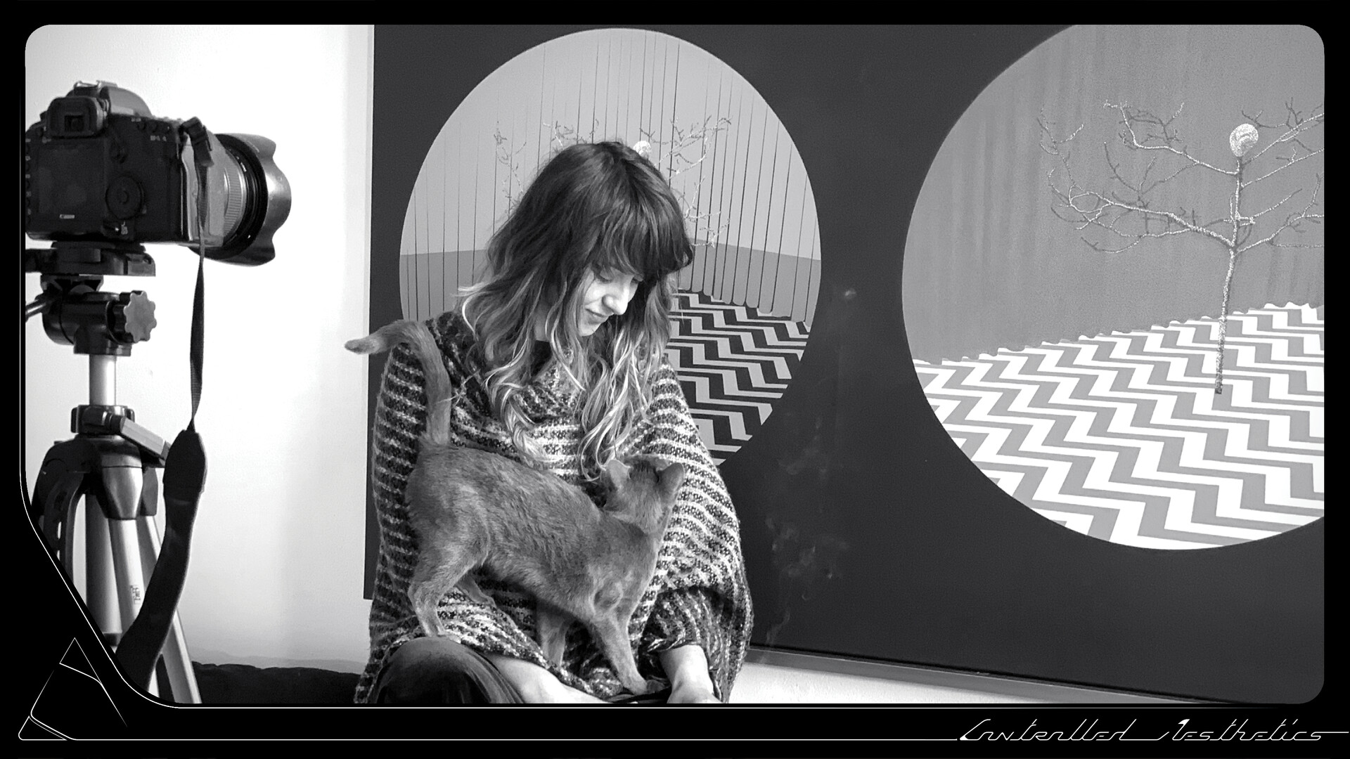 Controlled Aesthetics - Canvas Aesthetics - Controlled Aesthetics