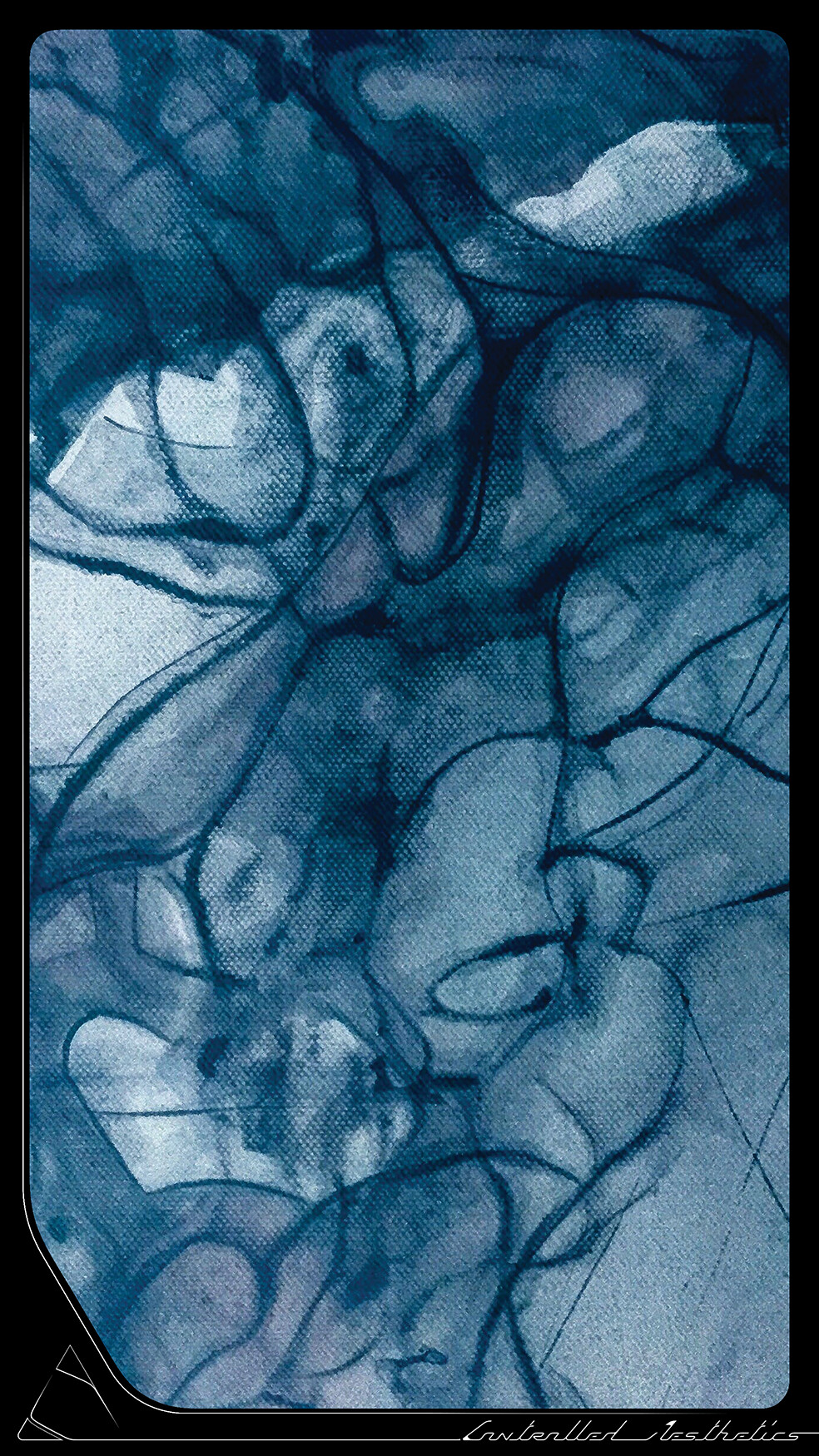 Controlled Aesthetics - Canvas Aesthetics - Controlled Aesthetics