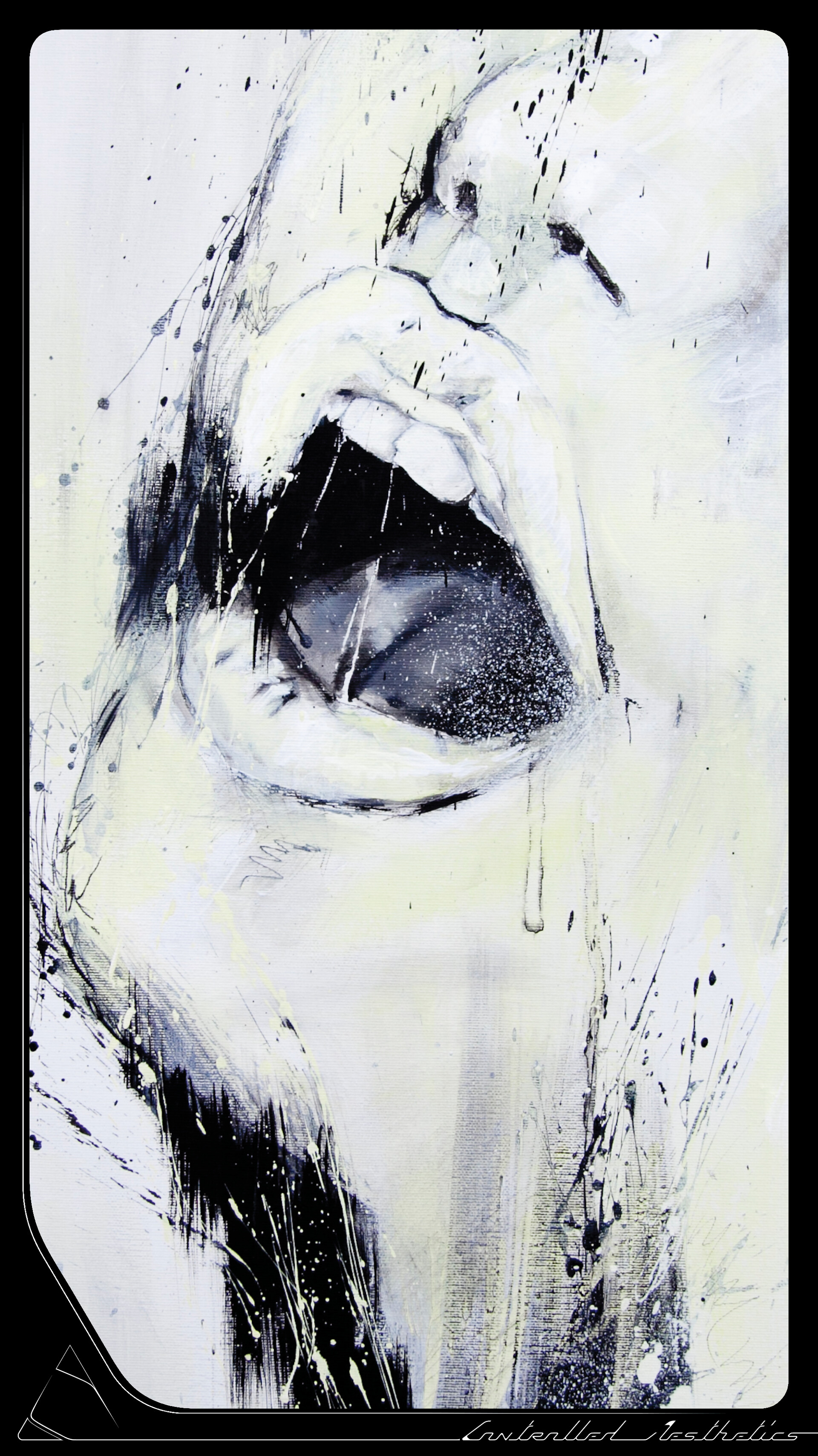 Controlled Aesthetics - Canvas Aesthetics - Controlled Aesthetics