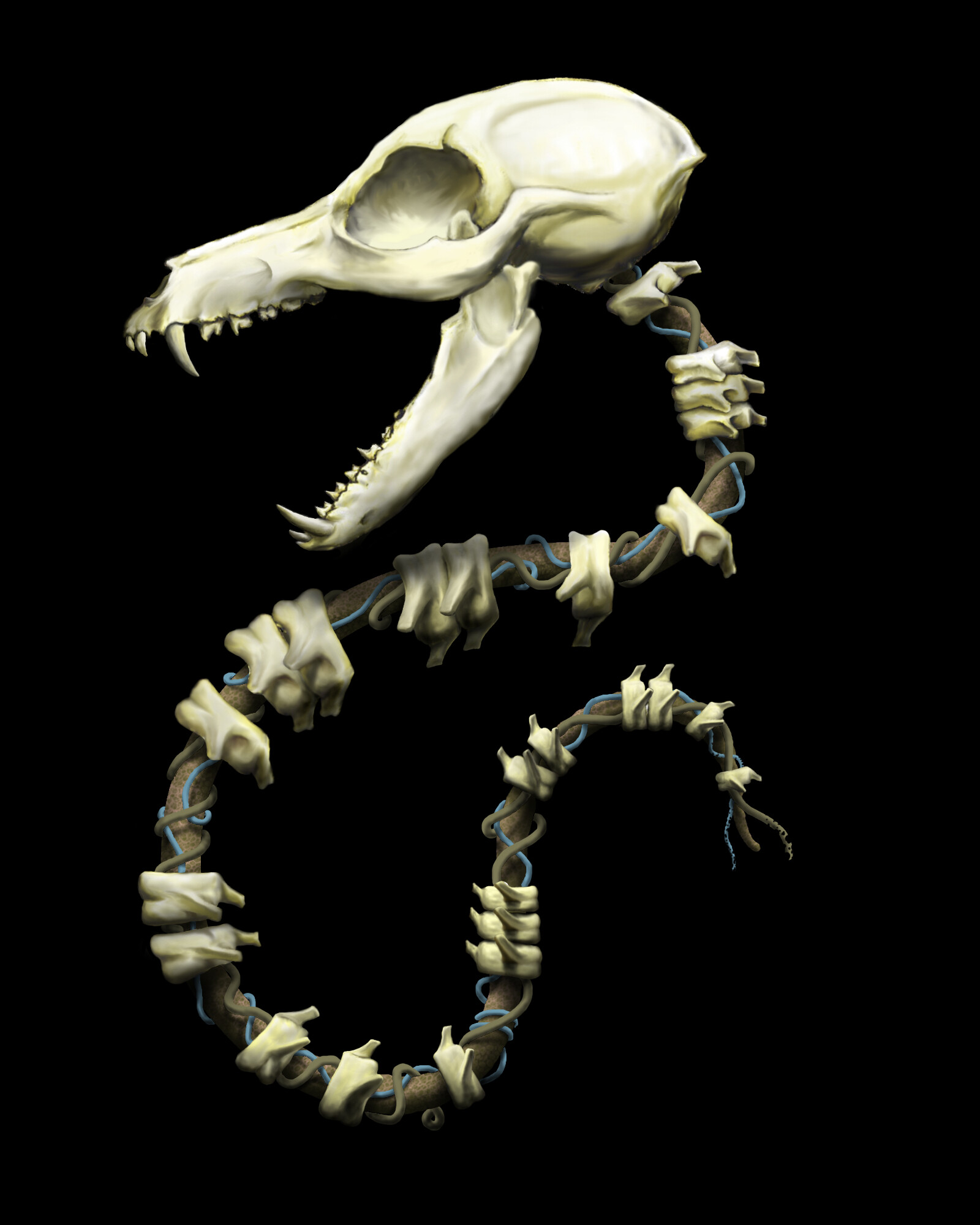 ArtStation - Vertebrate