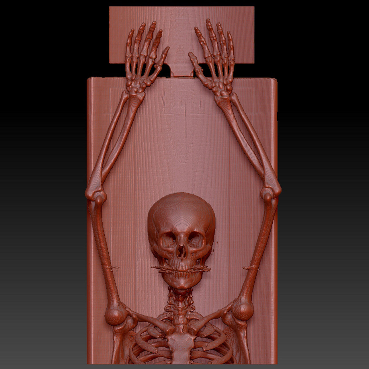 Callum - CT Reconstruction